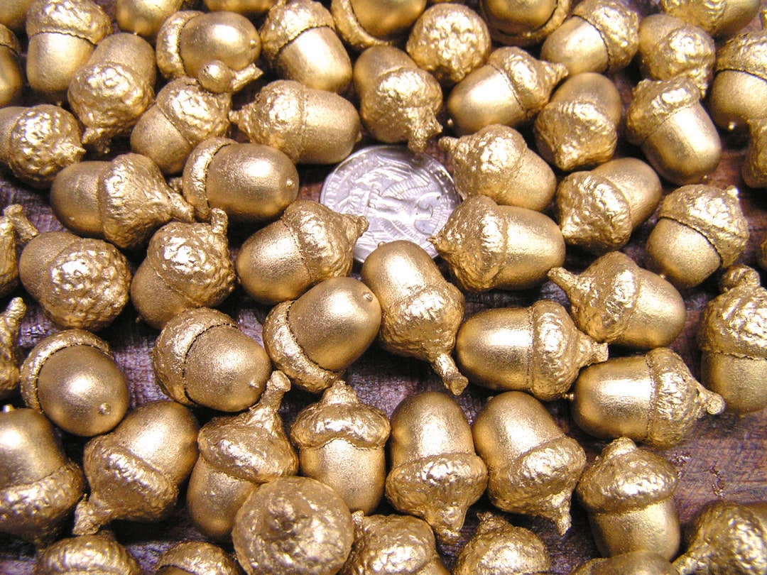 60 SMALL Dried Acorns WITH Caps, Gold Finish for Crafts, Holiday ...