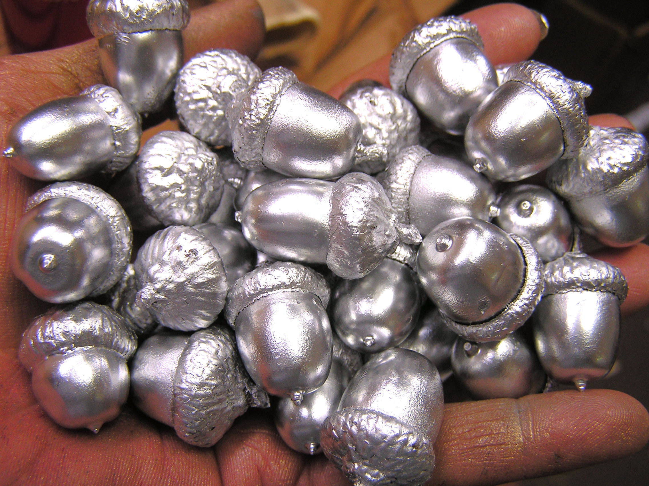50 Dried Acorns WITH Caps, Shiny Silver Finish for Crafts, Holiday ...