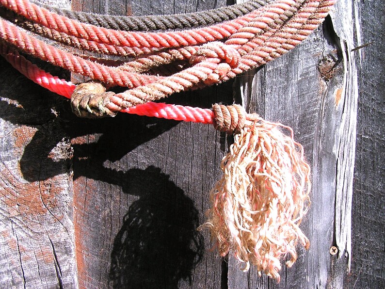 Old Cowboy Lariat Rope Western LASSO Wall Hang Decor mm - Etsy