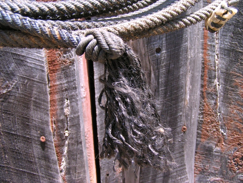 Vintage Old Retired Cowboy Lariat Lasso Rope | Etsy