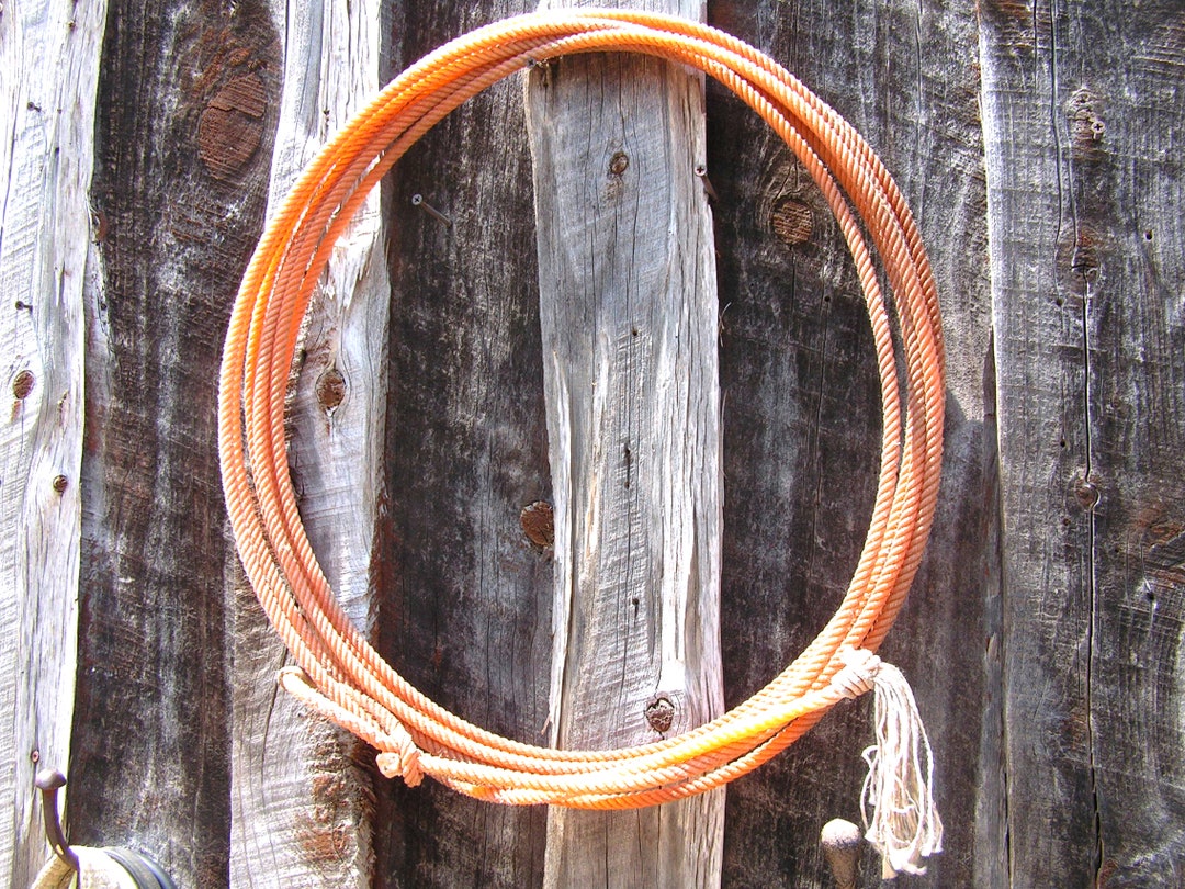 Vintage Old retired Cowboy Lariat Lasso Rope Western Wall Hang Decor ...