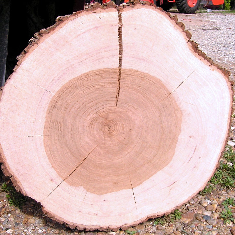 Pecan End Table - Etsy