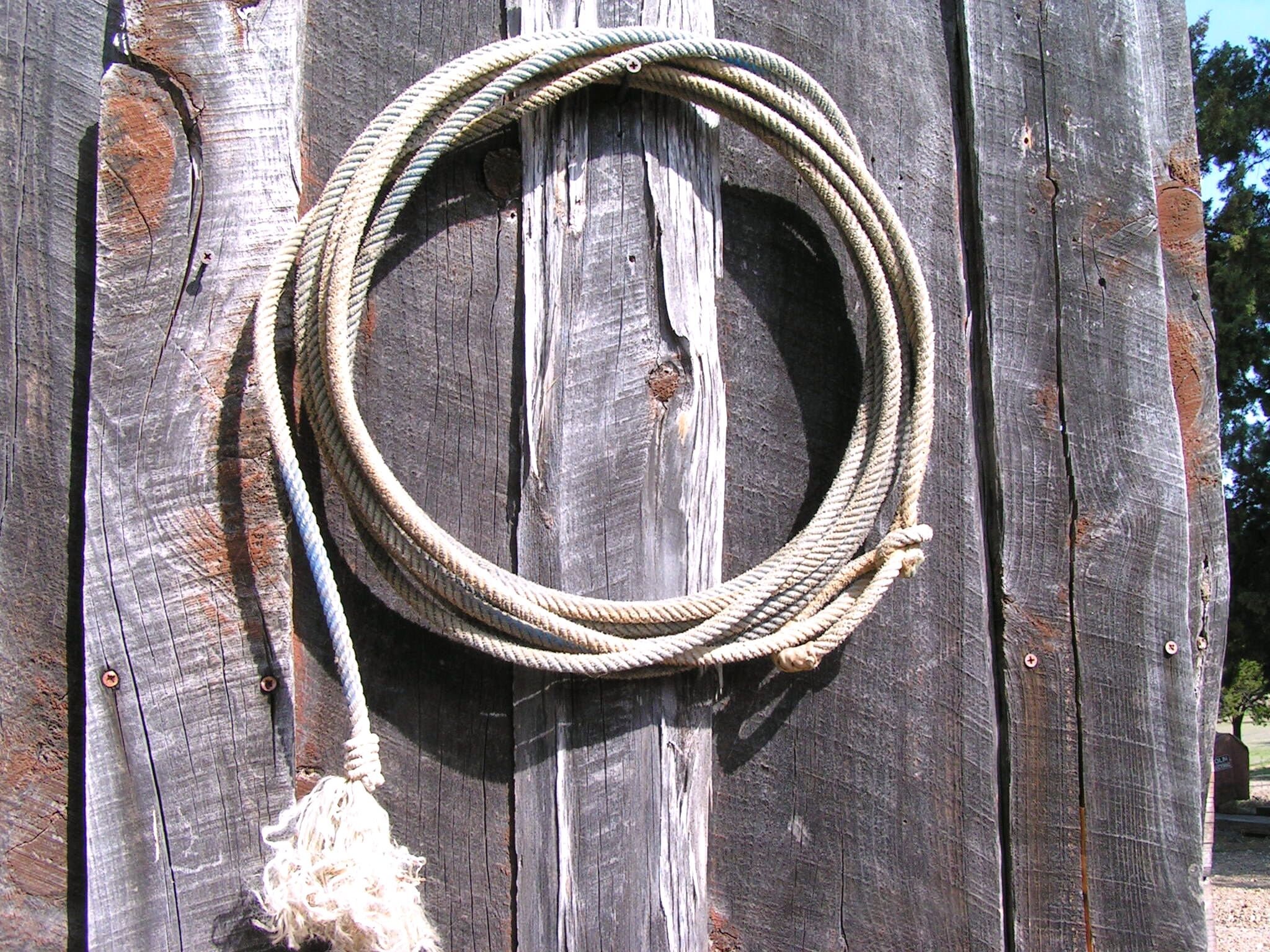 Old Cowboy Lariat Rope Western LASSO Wall Hang Decor 431 | Etsy