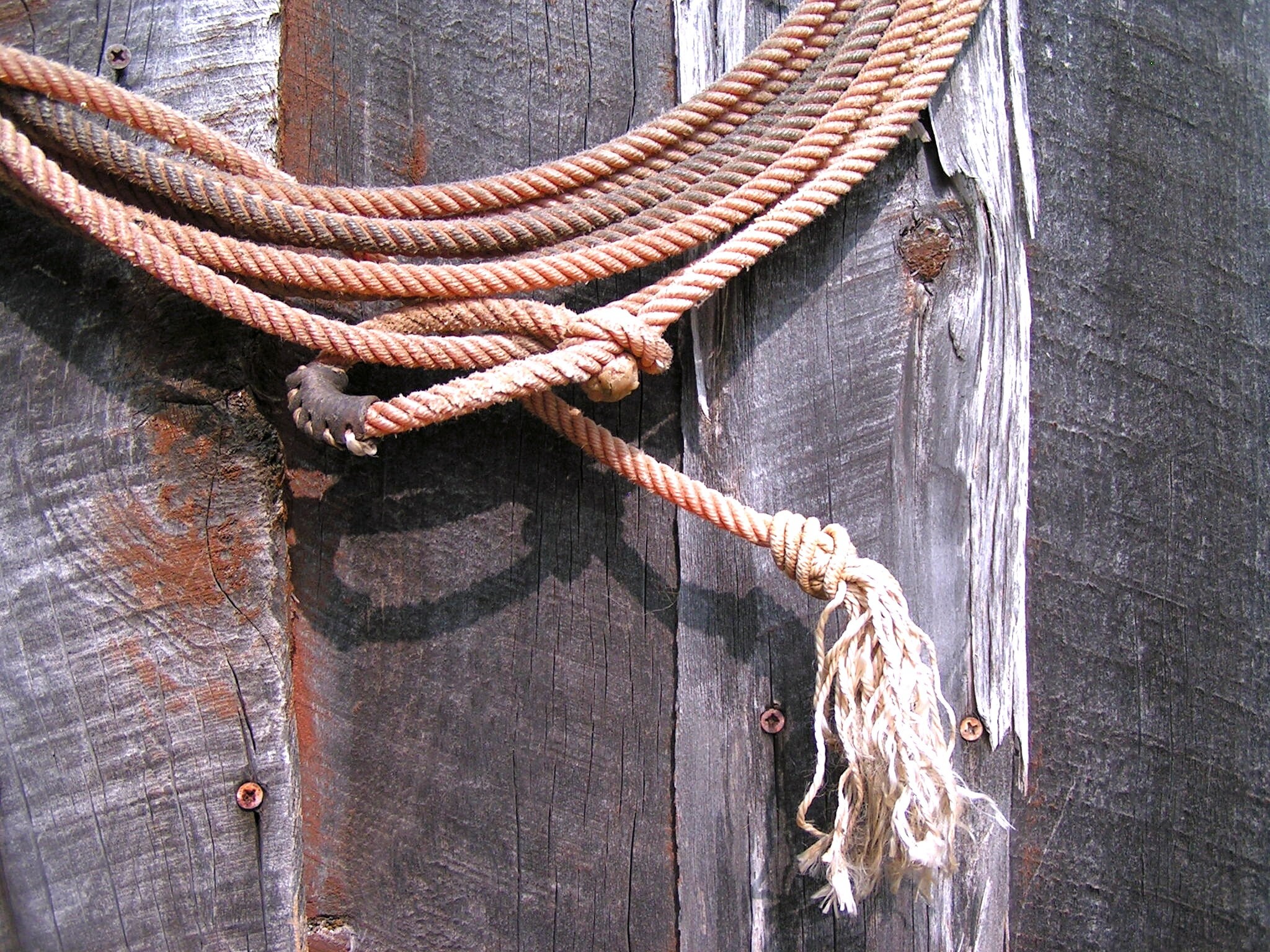 Old Cowboy Lariat Rope Western LASSO Wall Hang Decor 51 | Etsy