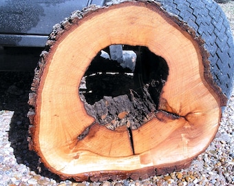 Live Edge WALNUT Round Wood Slab Tree Slice for Table Top, Sign, End ...