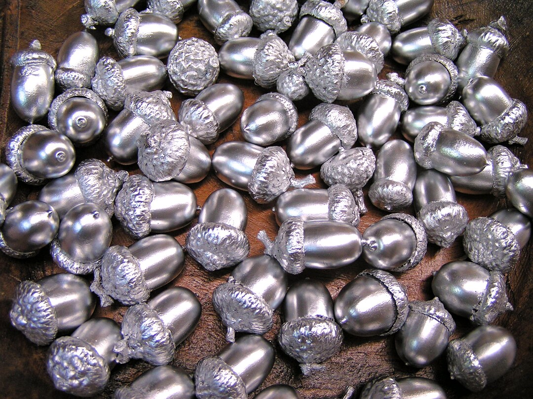 50 Dried Acorns WITH Caps Shiny Silver Finish for Crafts - Etsy