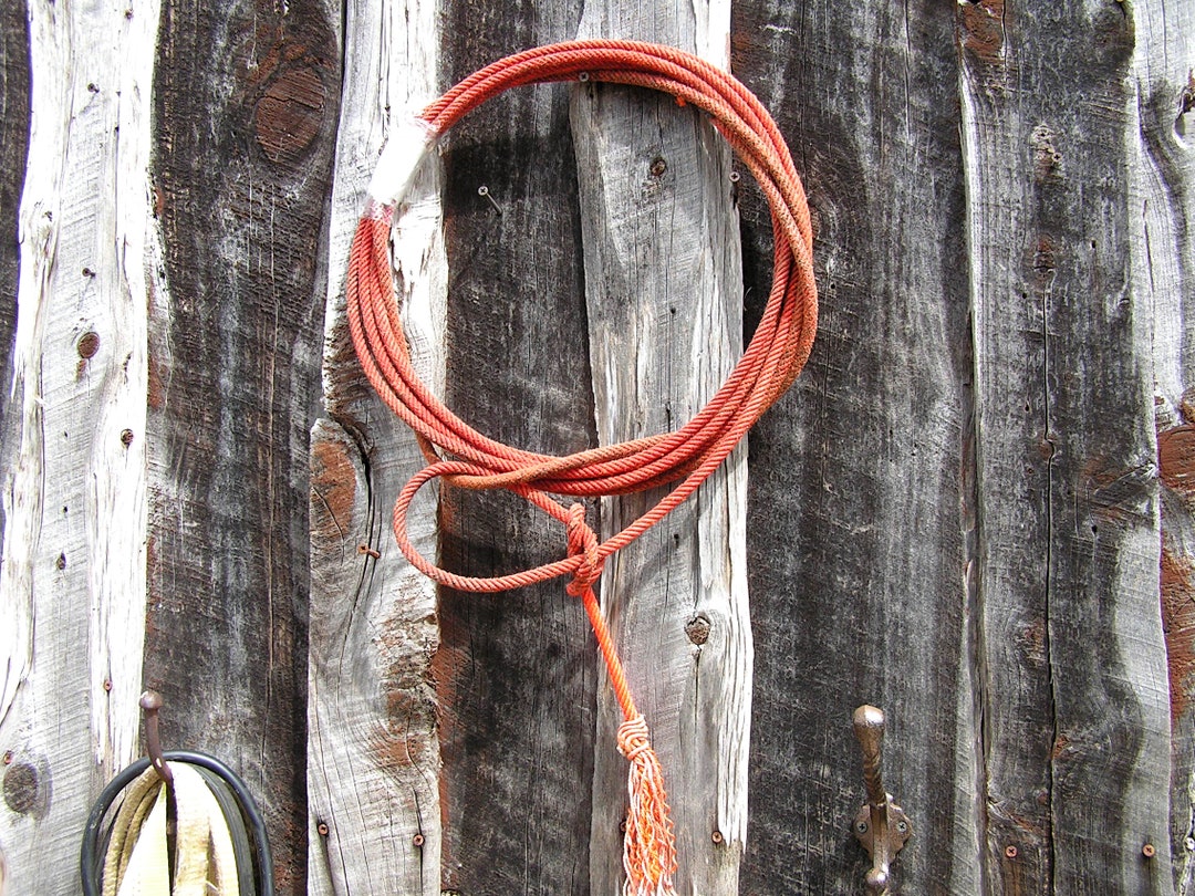 Old Cowboy Lariat Lasso Rope, Great Western Wall Hang Decor, BT - Etsy