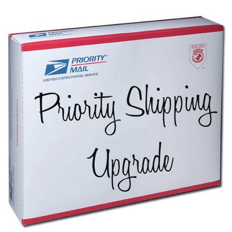 Rush Order: Priority & Express Mail Upgrade - Etsy