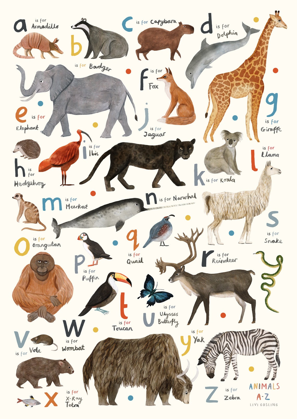 Animal Alphabet A-Z English Language A-Z | Etsy