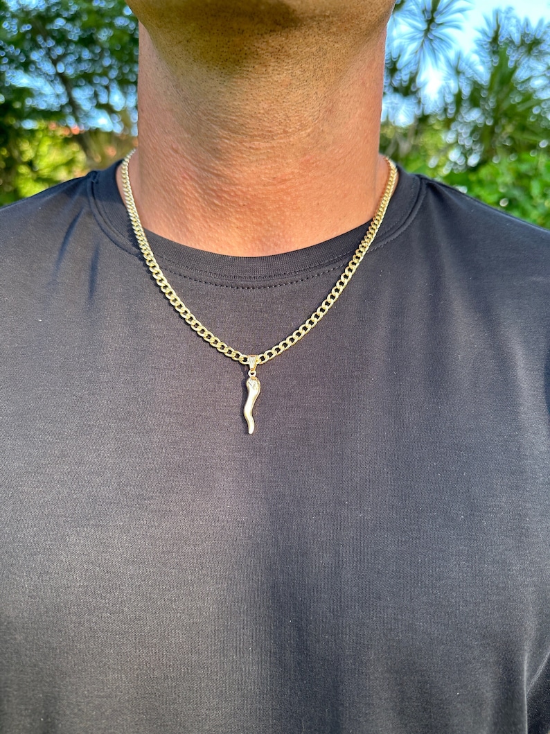18k Gold Filled Italian Horn Necklace,italian Cornicello Gift for Men ...