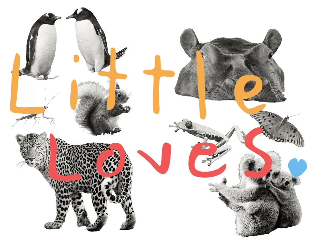 80+ Animal Images for Collage and Stickers, Black & White - Digital ...