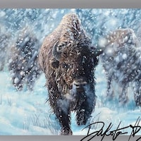 Buffalo Print, American Bison Print, Buffalo in Winter, Snowy Winter ...