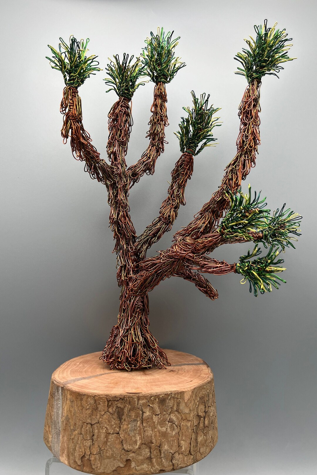 Wire Trees, Wire Tree Sculpture, Wire Tree, Joshua Tree, Desert Tree ...