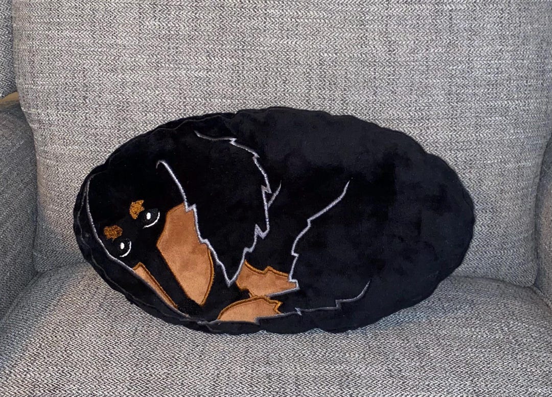 AFTER CHRISTMAS DELIVERY! Long Hair Dachshund Pillow: Soft Minky Doxie ...
