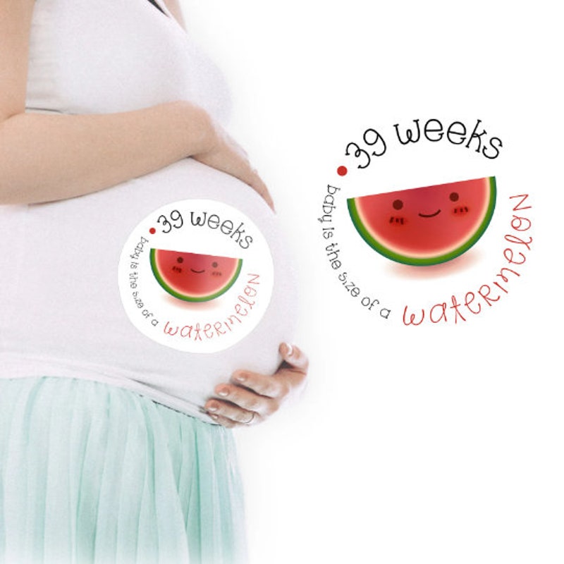 Pregnancy Stickers - Etsy