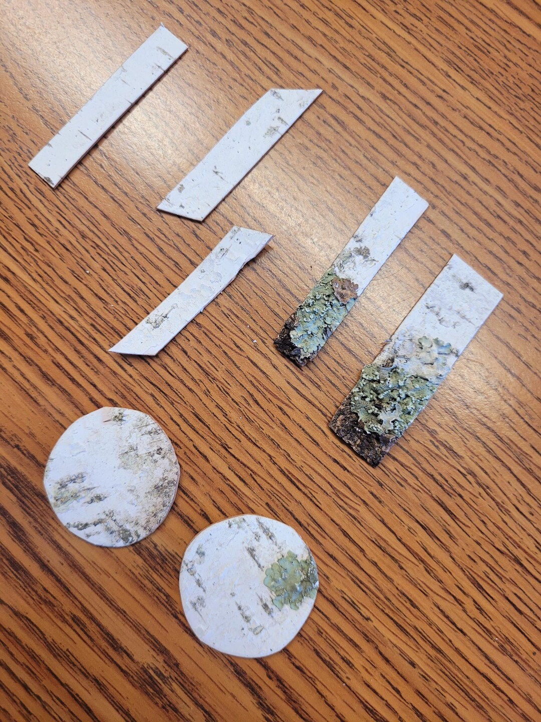 Big Birch Bark Pieces, Ojibwe, Pow Wow Style, Anishinaabe, White Earth ...