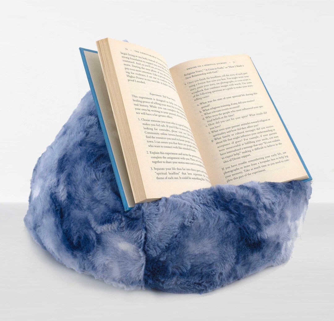 IPad Pouf, Tablet Pouf, Book Pouf, Bean Bag Pillow for Book, Nook or ...
