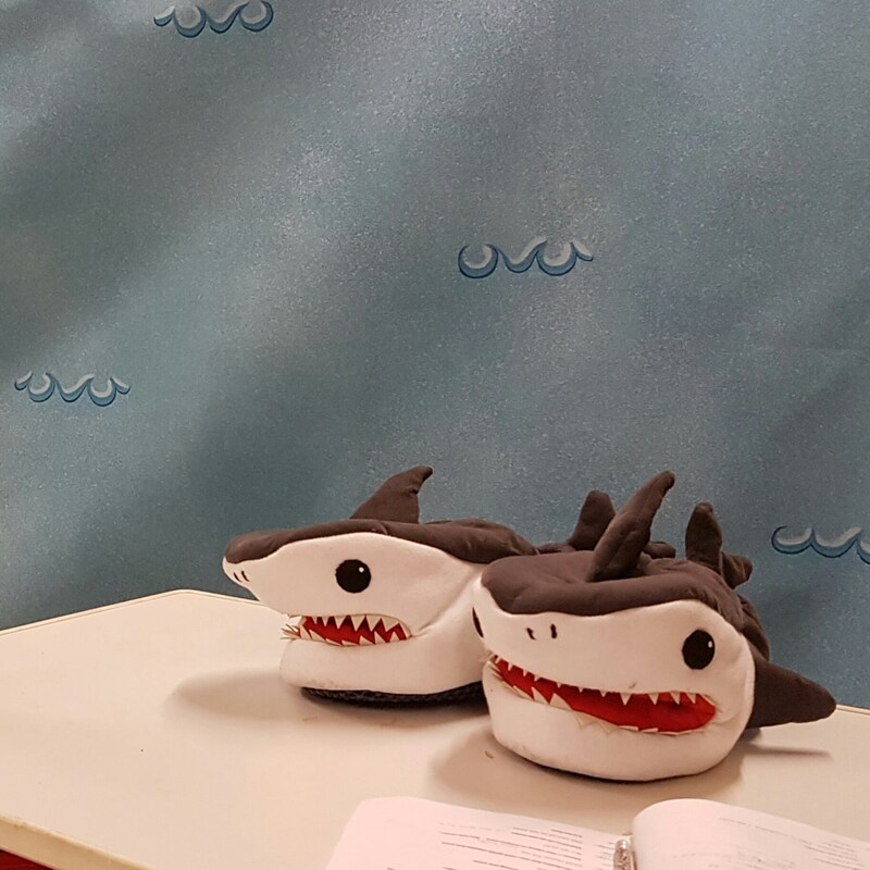 Shark Slippers - Etsy