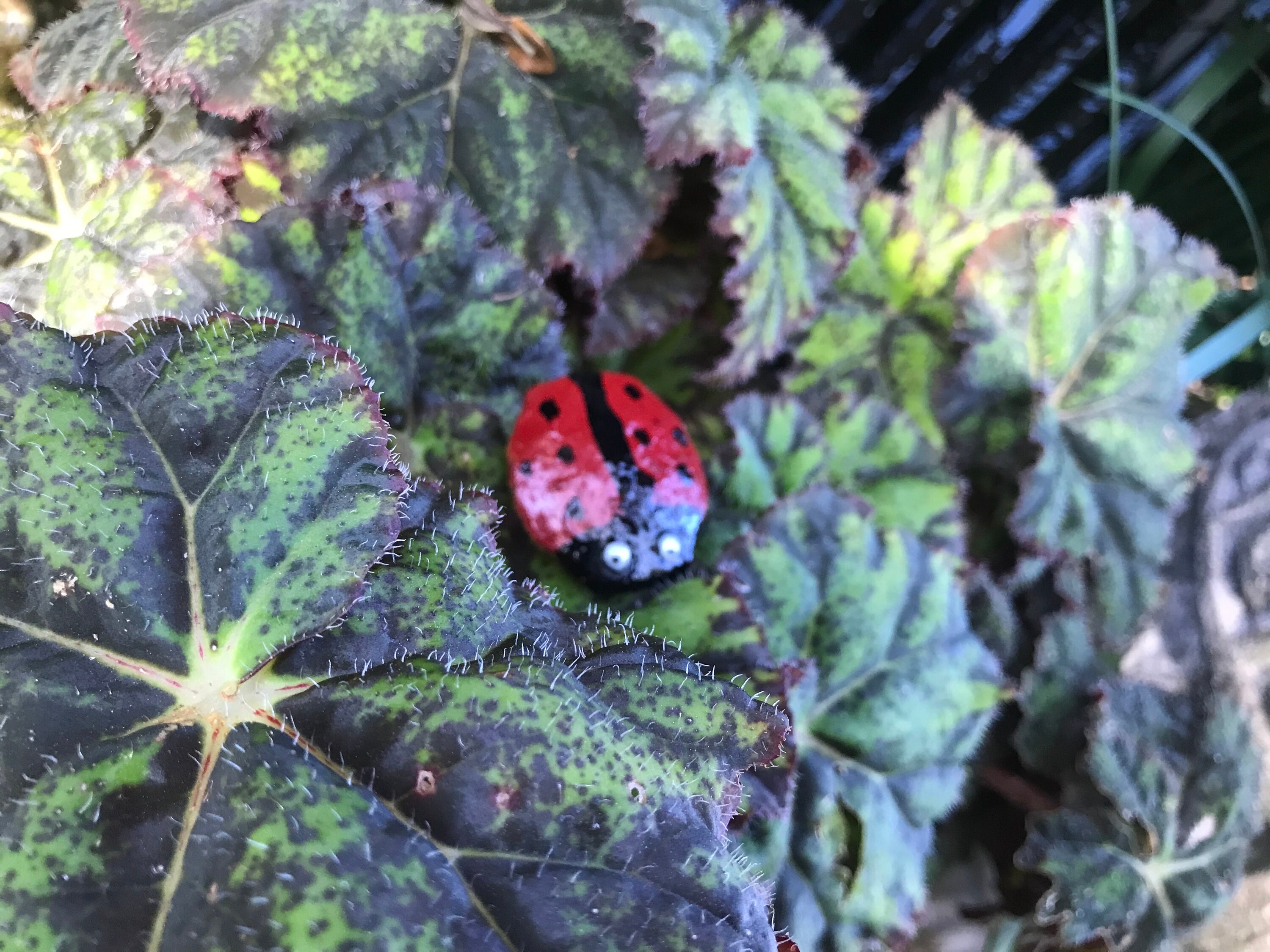 UPCYCLED ART Handpainted LADYBUG Railroad Spike Garden Decor Plant ...