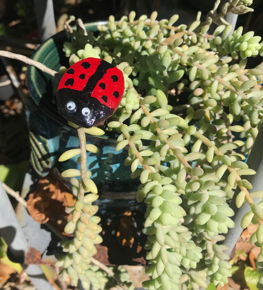 UPCYCLED ART Handpainted LADYBUG Railroad Spike Garden Decor Plant ...