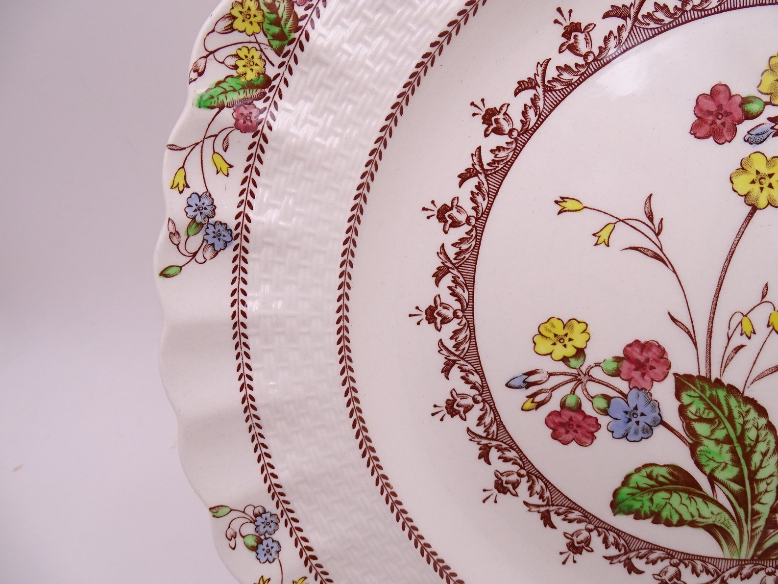 1950s Vintage Spode English Bone China Made in England "cowslip" Dinner ...
