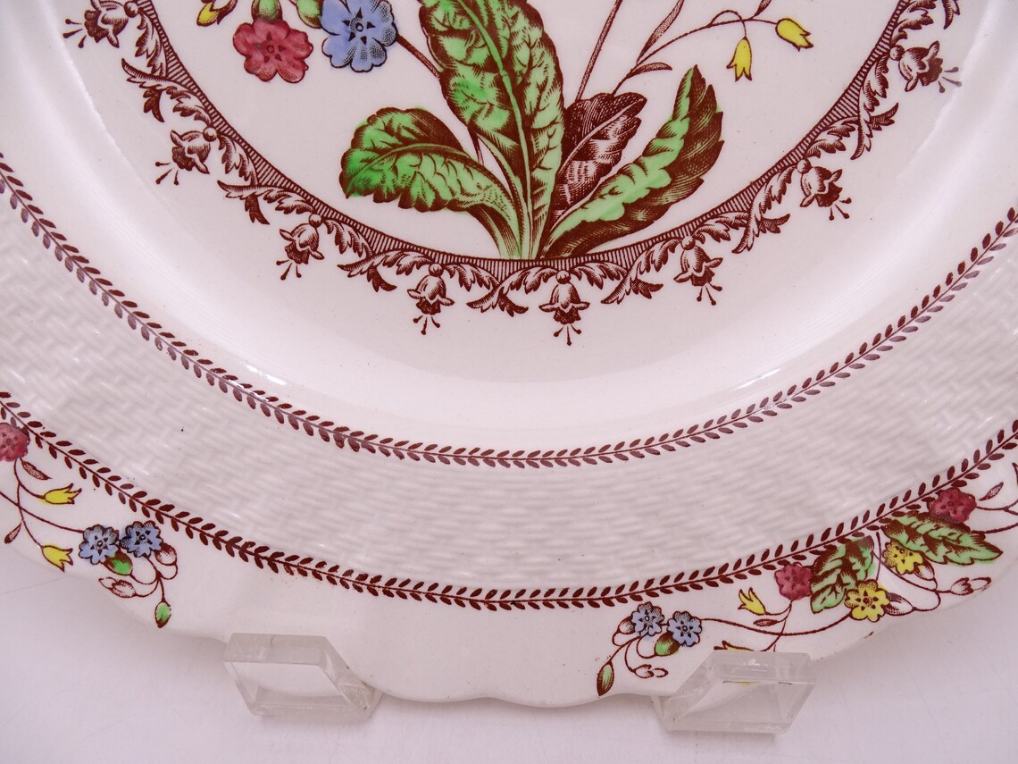 1950s Vintage Spode English Bone China Made in England "cowslip" Dinner ...