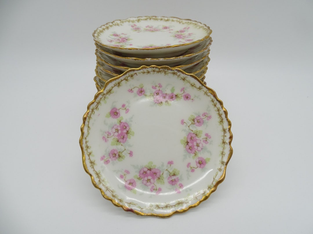 C1900s Set of 12 Bawo Dotter Elite Limoges Pink Floral Double Trim ...