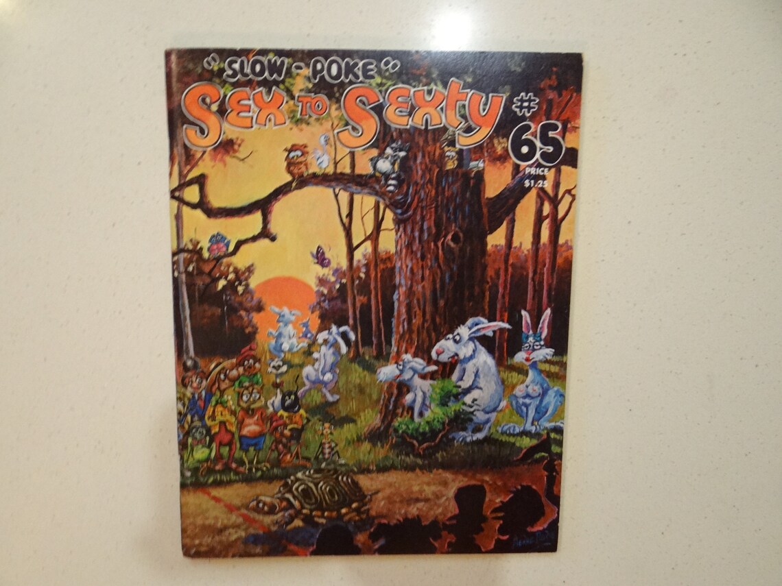 1975 Vintage Sex To Sexty Adult Comic Book 65 Etsy