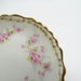 C1900s Set of 12 Bawo Dotter Elite Limoges Pink Floral Double Trim ...