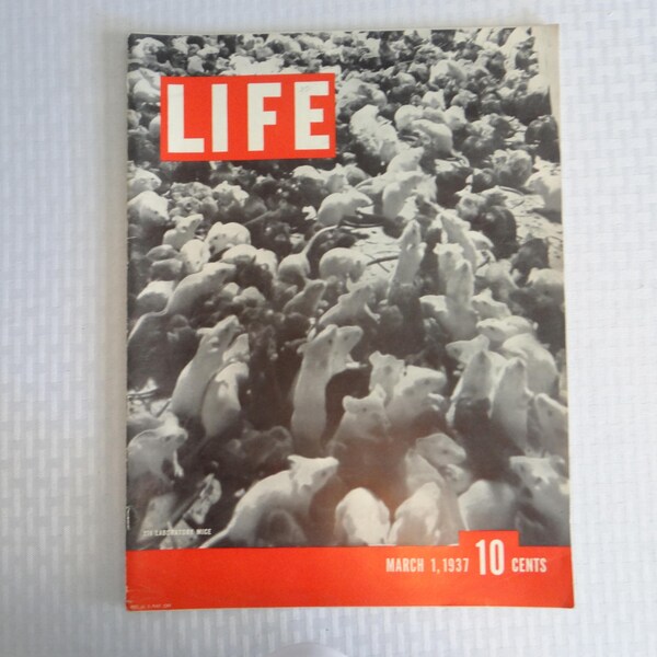 Life Magazine Jesus - Etsy