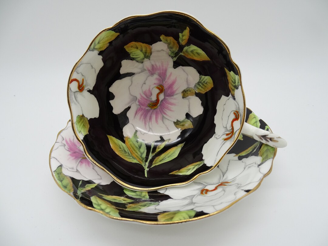 1930s Spectacular Paragon Fine English Bone China Hand Painted Magnolia ...
