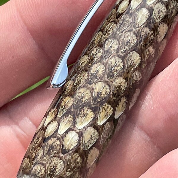 Rattlesnake Skin - Etsy