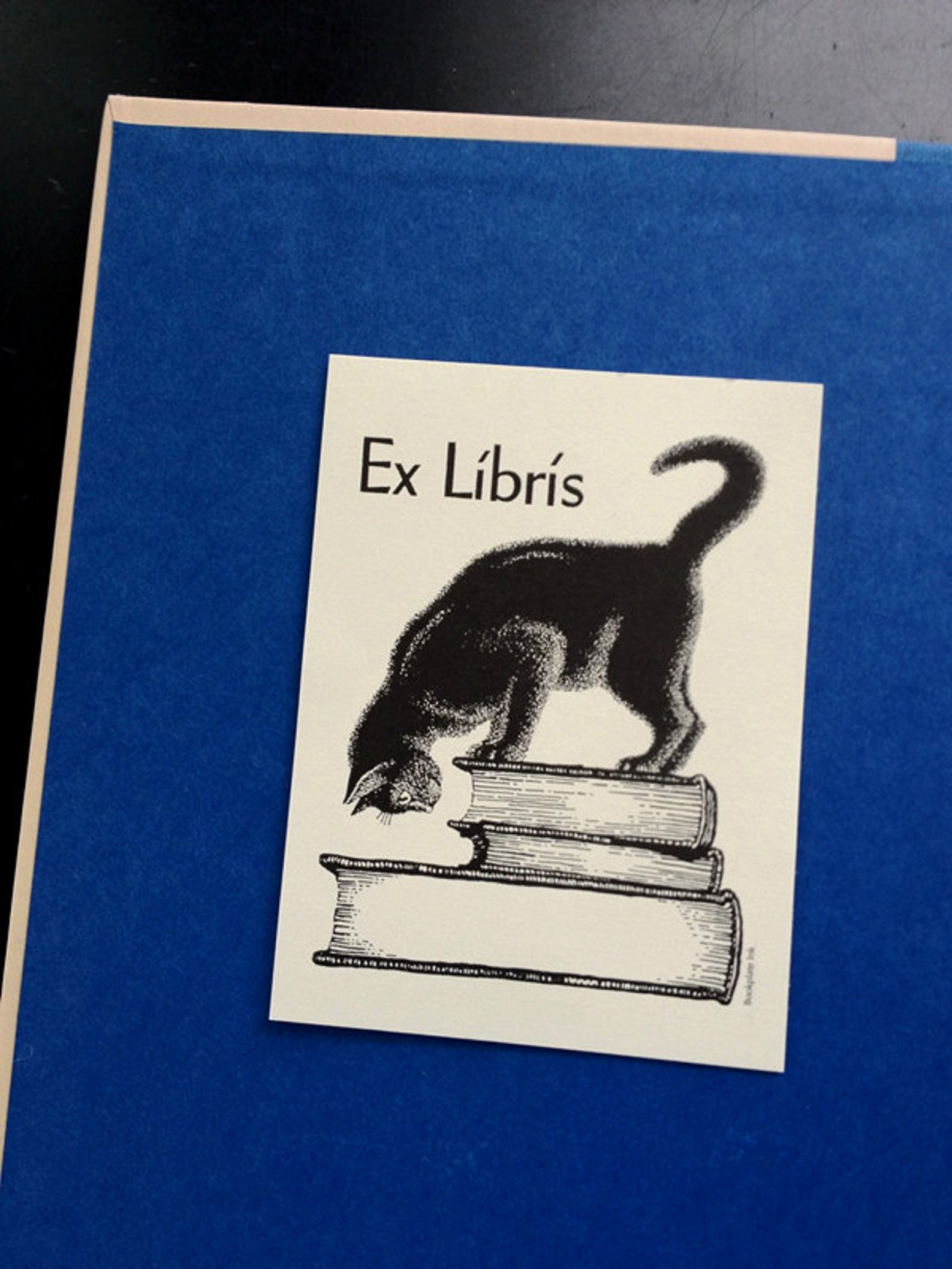 Cat Atop Stack of Book Antioch Bookplate - Etsy