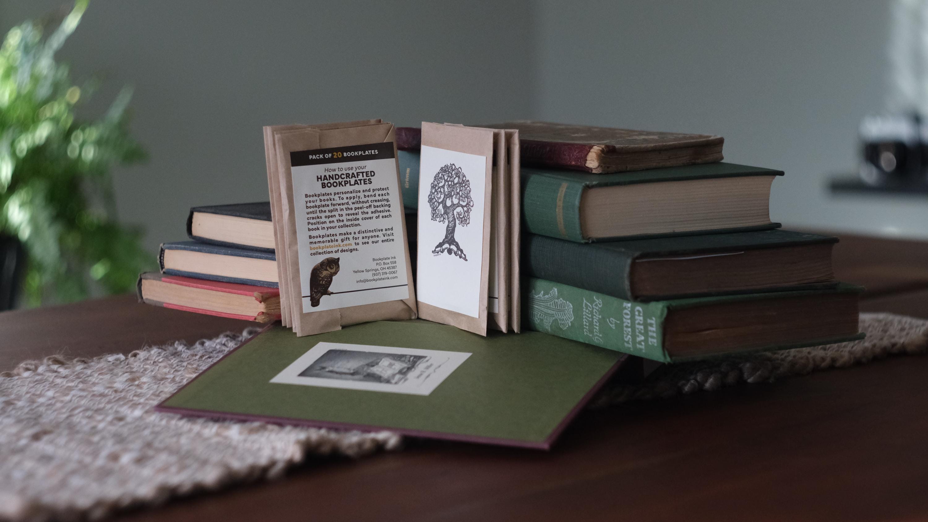 Boy Reading in Tree Bookplate - "a Book is A New Adventure" - Etsy