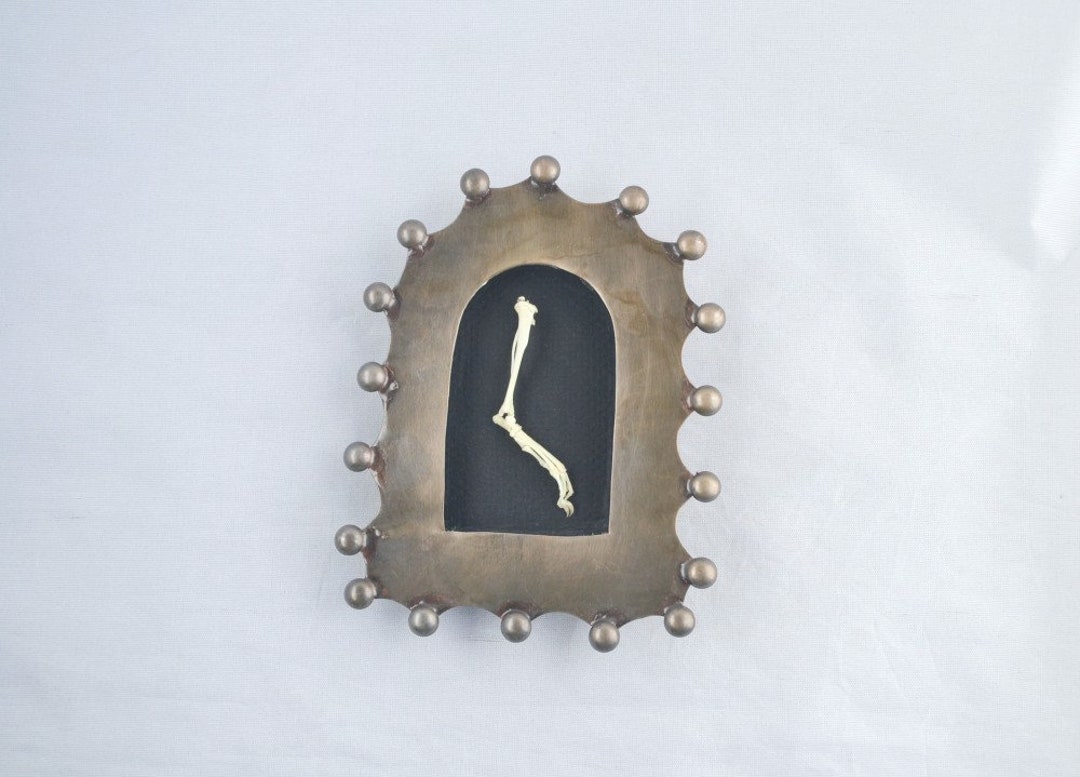 Rat Leg Rat Bones Bone Nicho Bone Art - Etsy