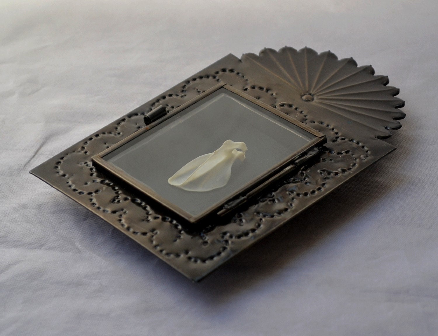 Rat Scapula Rat Bones Bone Art Bone Nicho - Etsy