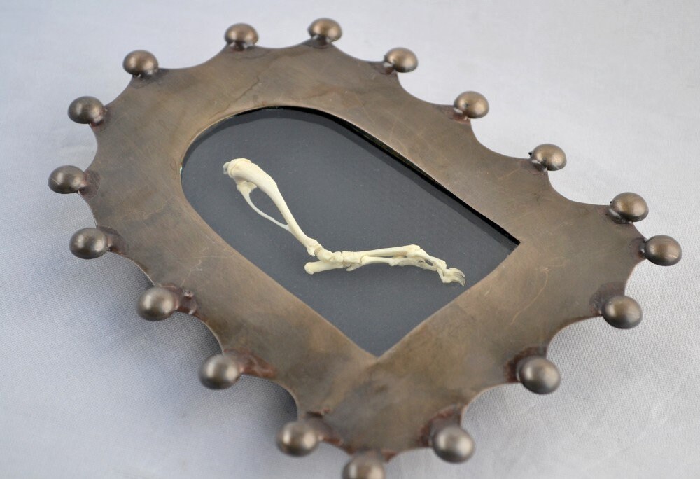 Rat Leg Rat Bones Bone Nicho Bone Art - Etsy