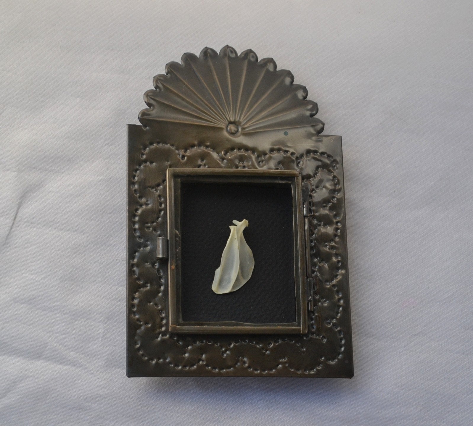 Rat Scapula Rat Bones Bone Art Bone Nicho - Etsy