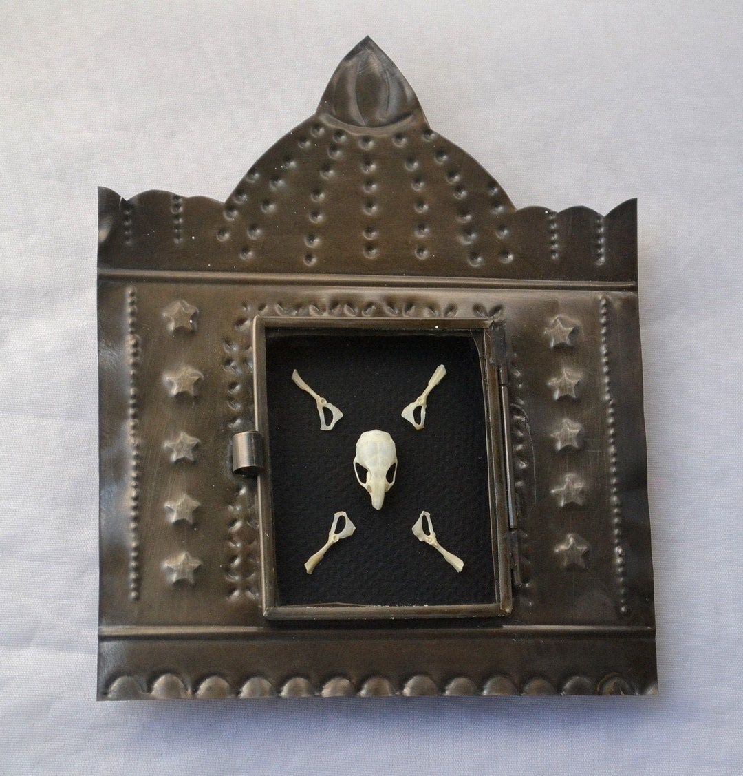 Buy Rat Skull and Hip Bones, Real Rat Bones, Bone Art, Bone Nicho ...