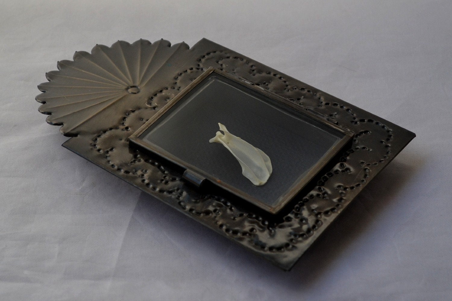 Rat Scapula Rat Bones Bone Art Bone Nicho - Etsy