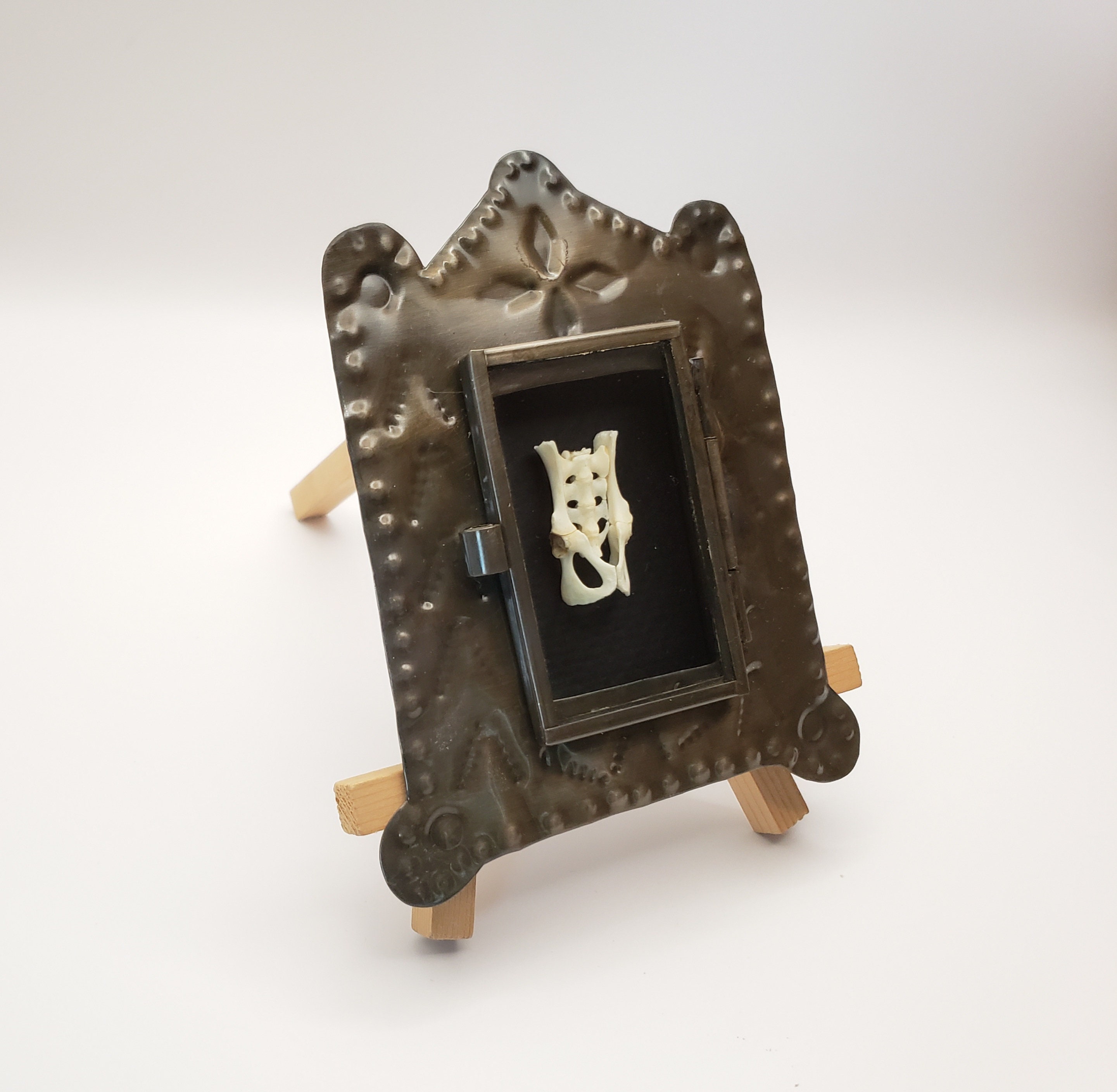 Rat Pelvis Rat Bones Bone Art Bone Nicho - Etsy