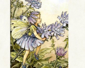 Flower Fairies: the PRIMROSE FAIRY Vintage Print C1930 by Cicely Mary ...