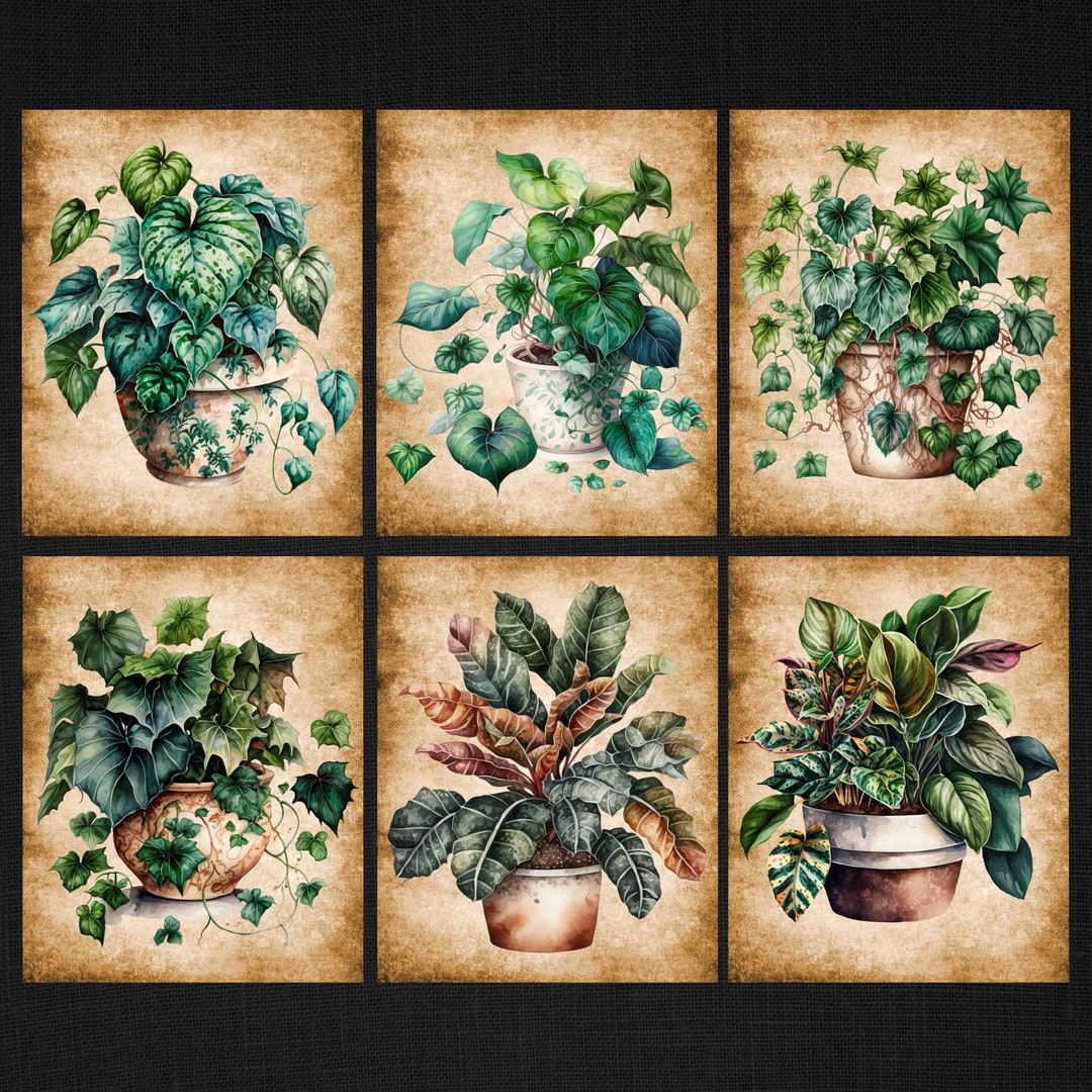 Botanical Prints, Set of Six 8 X 10 Botanical Prints, Botanical Art ...