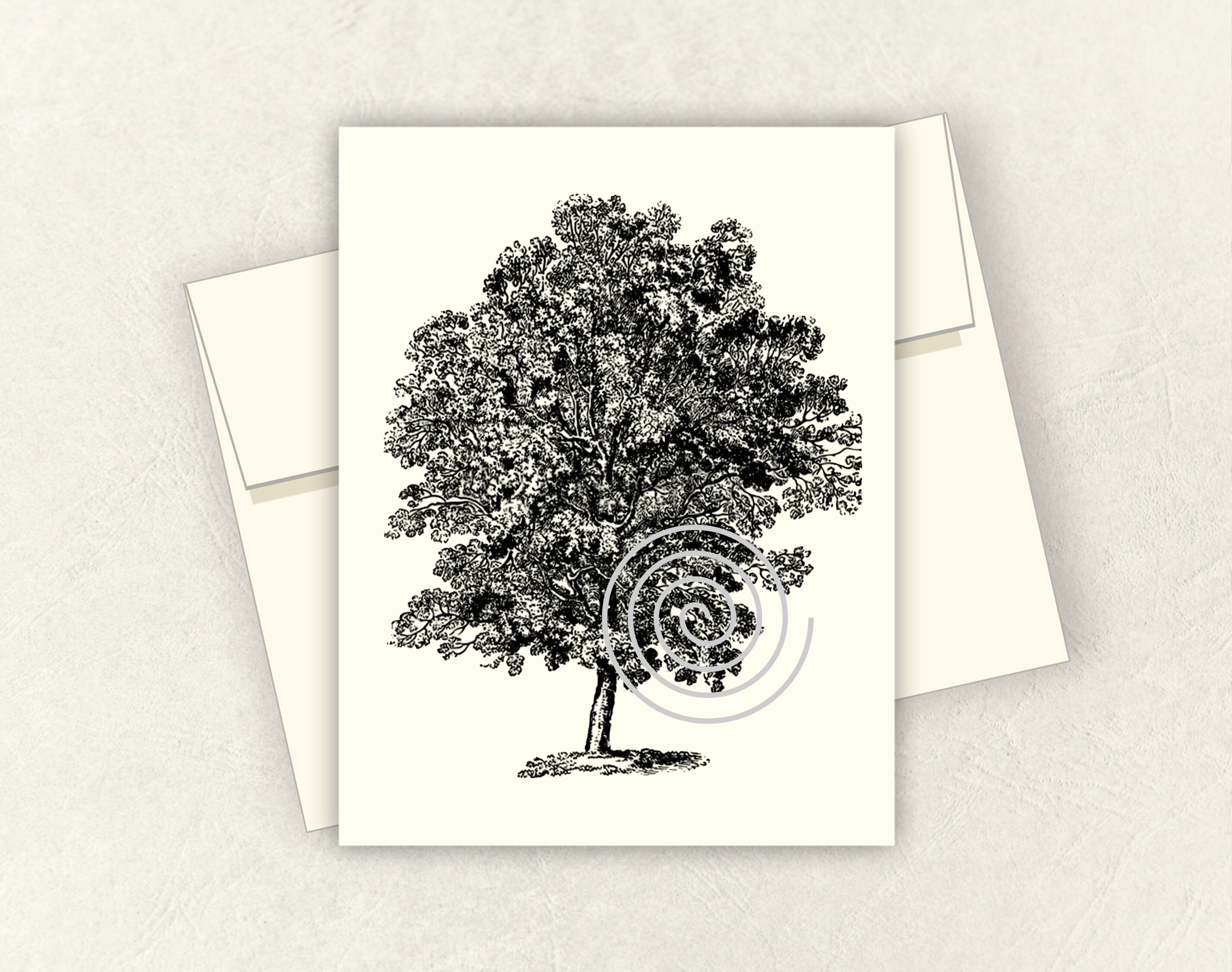 Oak Tree Notecards Set of Ten White or Cream With Envelopes Oak Pine ...