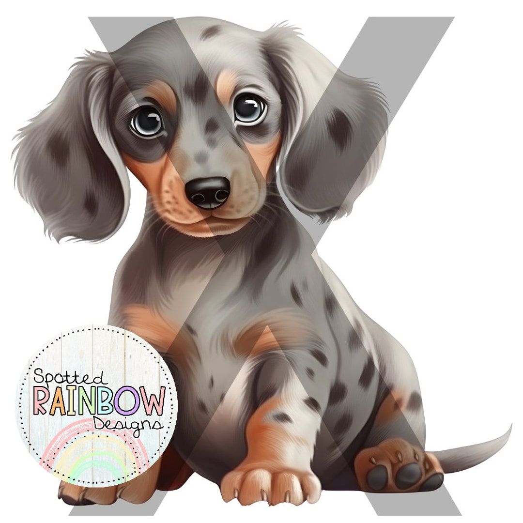 Cute Dapple Dacshund Clipart Commercial Use PNG Digital Download ...