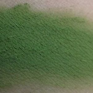 Moss - Pop Green Matte Eyeshadow - Etsy
