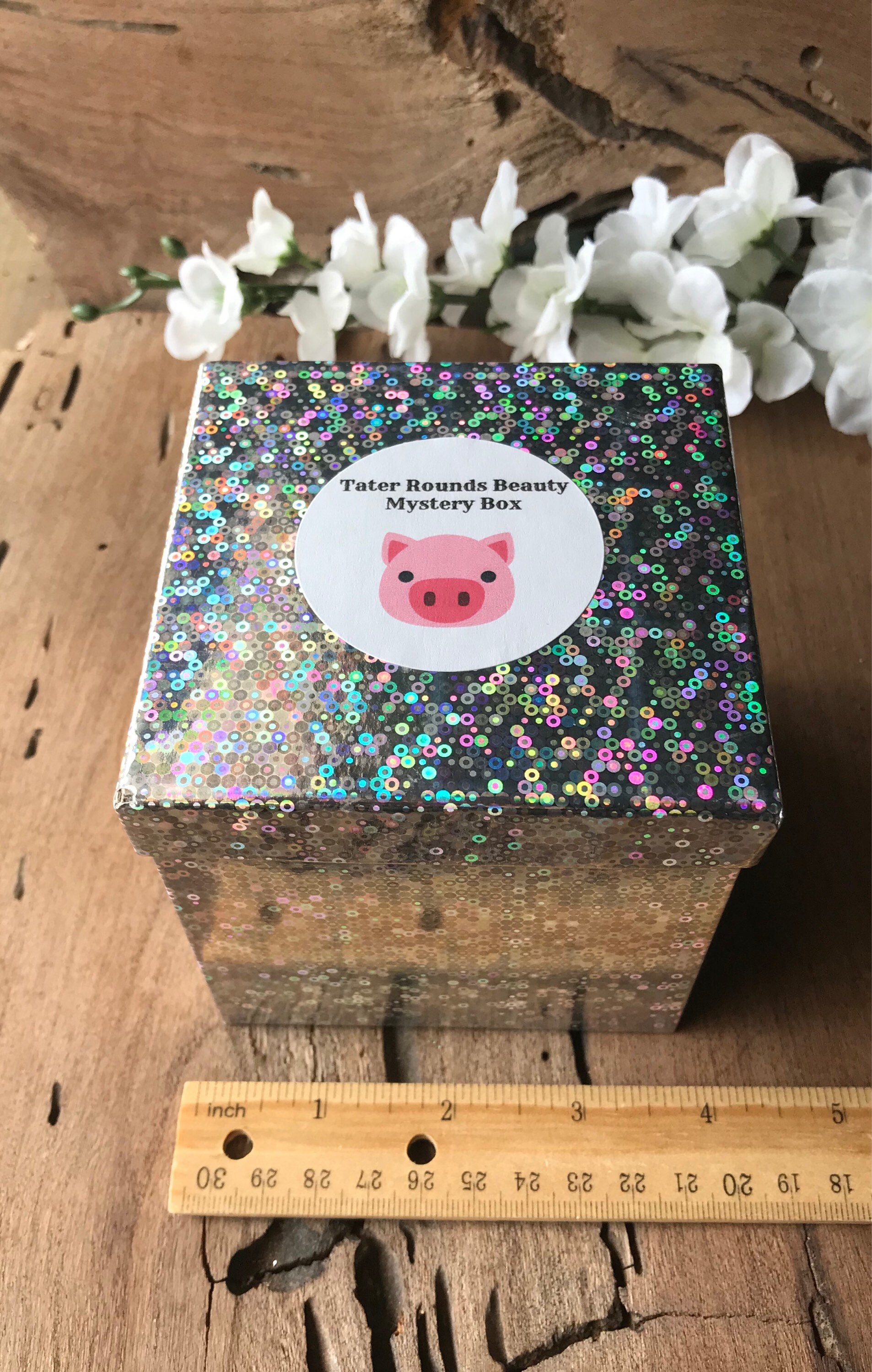 Tater Rounds Beauty Mystery Box Lip Stick Lip Gloss - Etsy