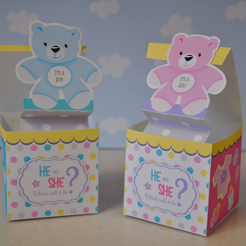 Gender Reveal Box - Etsy
