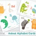 Animal Alphabet Flash Cards / ABC Animal Flash Cards Nursery Classroom ...