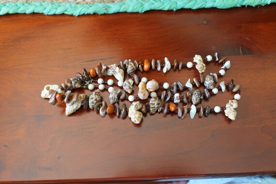 Sea Shells. Hawaiian style. Lei? Homes of tiny sea li… - Gem